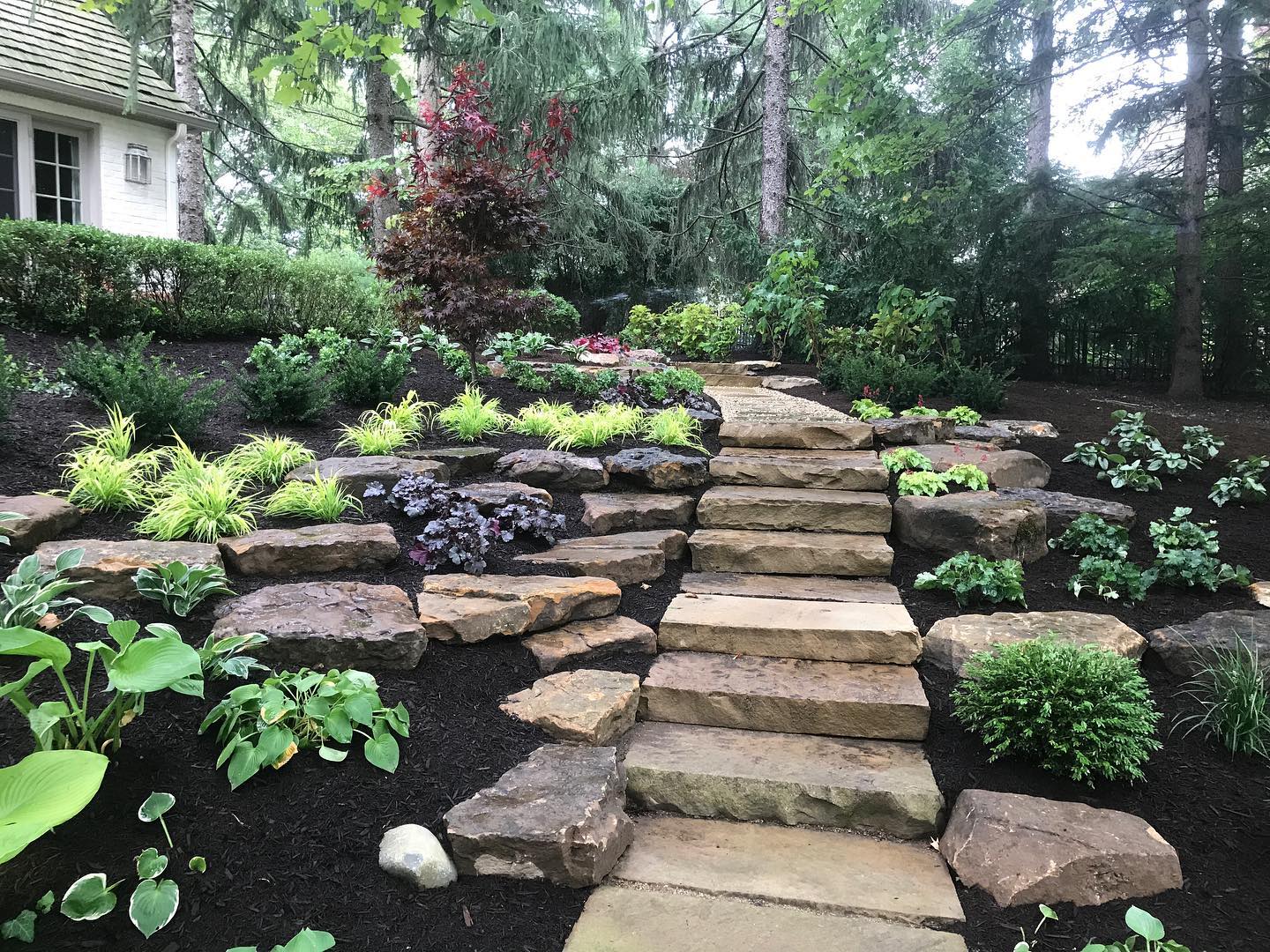 Gallery – Meticulous Landscapes, Inc.